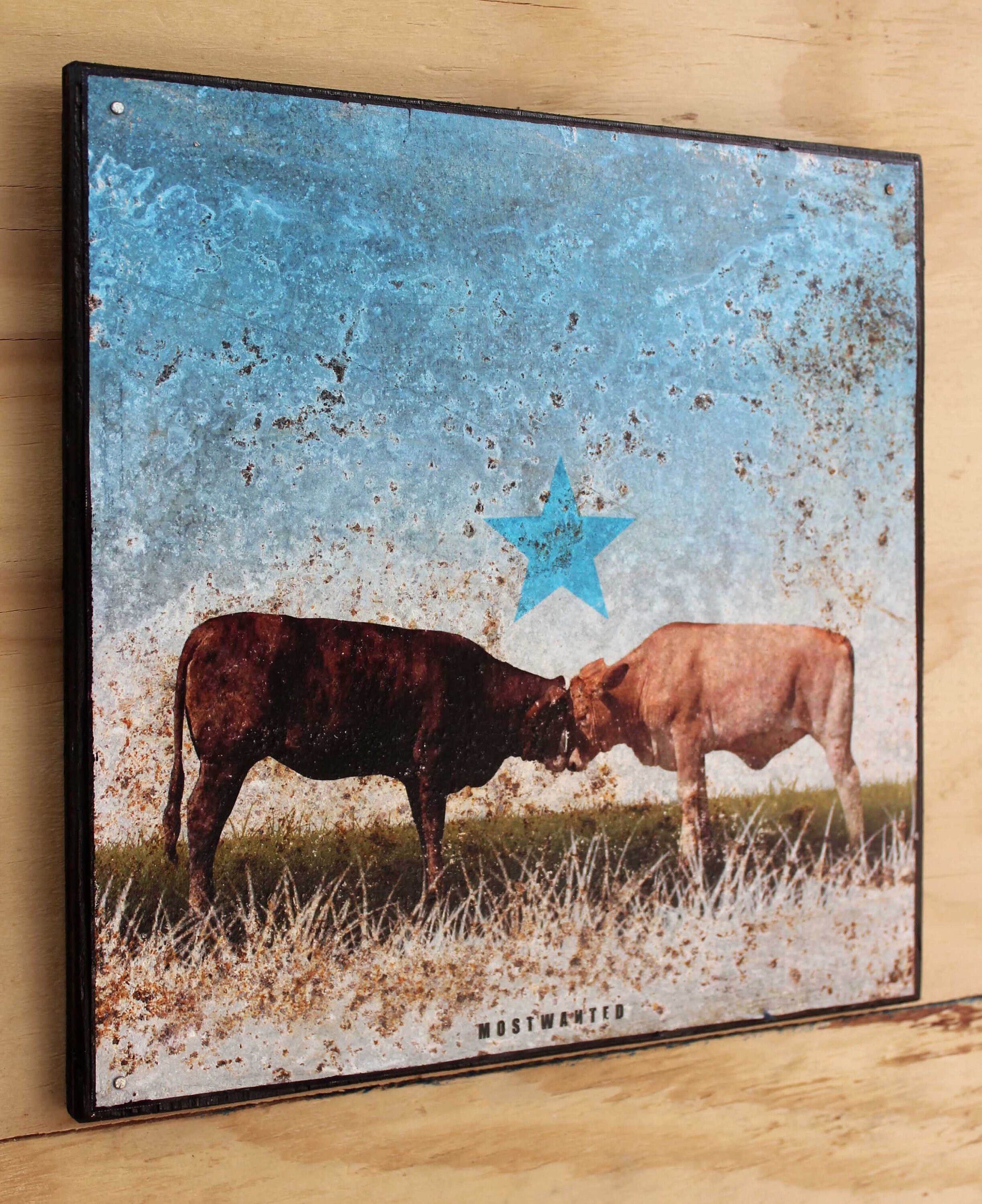 Nuzzling Cows Nose Kiss Photo Artwork Transfer on Metal - Etsy