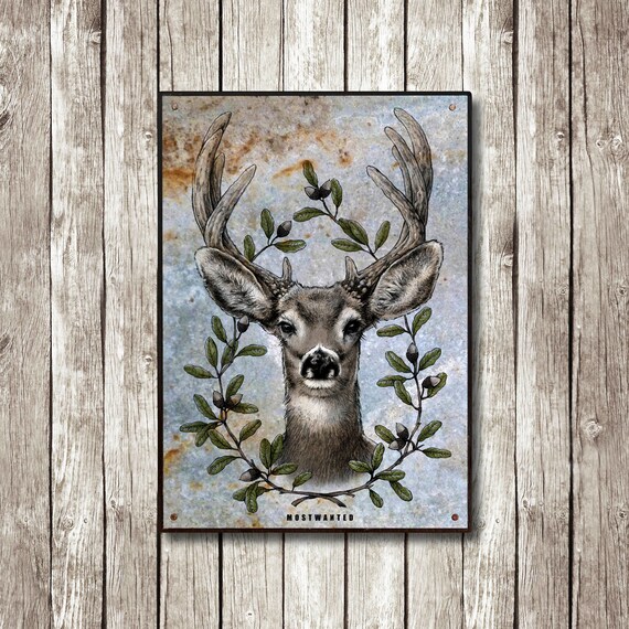 Disegni A Matita Di Teste Di Cervo Dipingere Con I Numeri Disegno Di