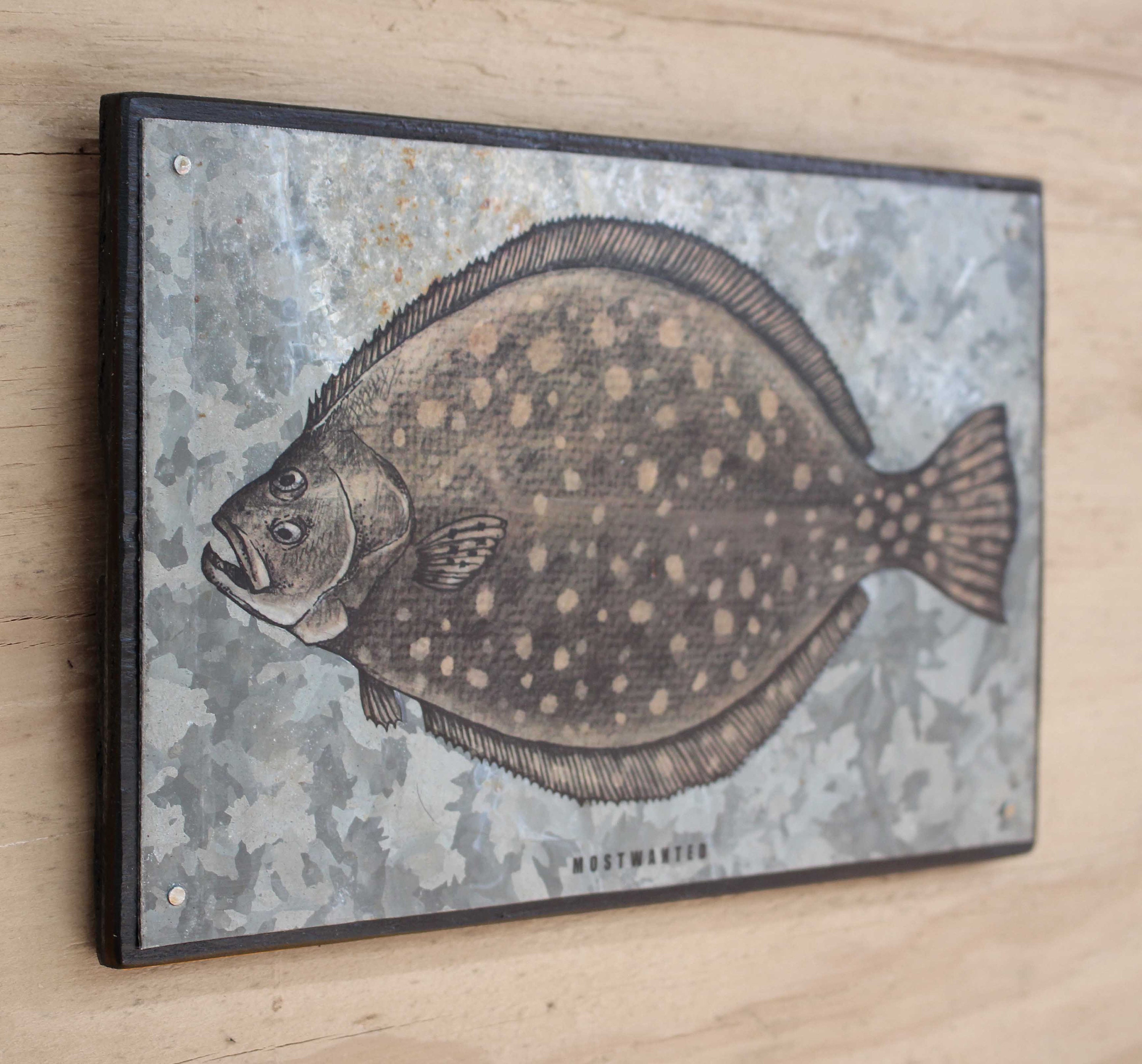 Southern Flounder Drawing