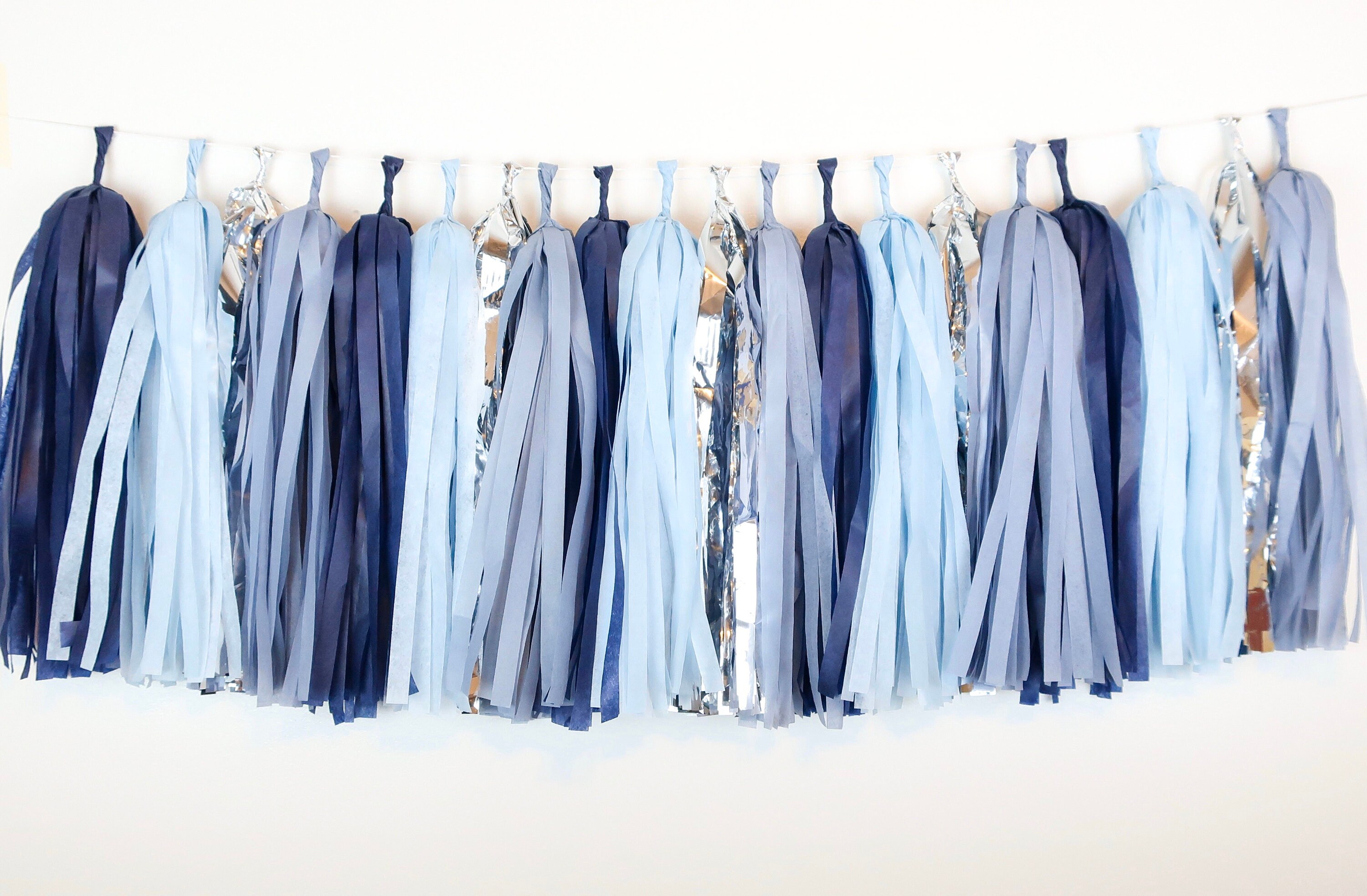 Blue Silver Tassel Garland Two the Moon Over the Moon - Etsy