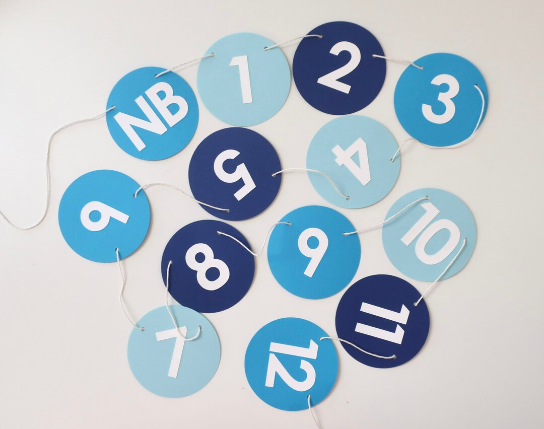 Blue Ombré 12 Month Birthday Banner - Shades of Blue Milestone Banner ...