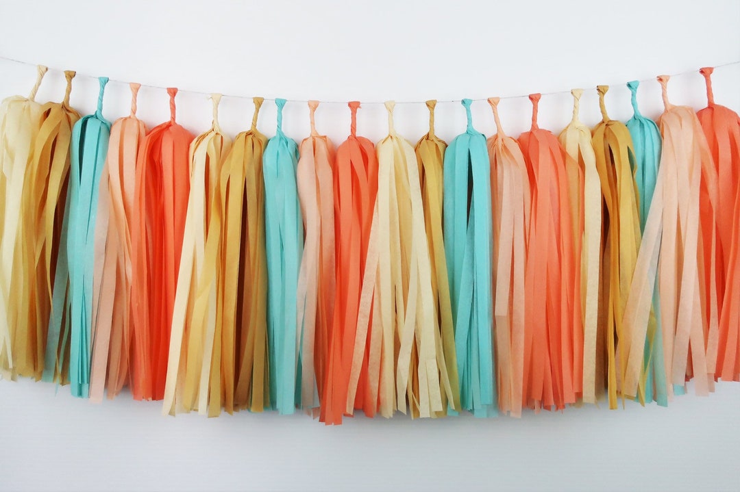 Elegant Coral Papaya Tassel Garland Balloon Tail Birthday Banner ...
