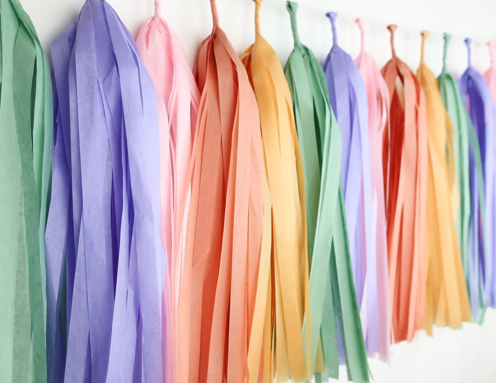 Fairy First Birthday Tissue Paper Tassel Garland - Fairies - Mushrooms ...