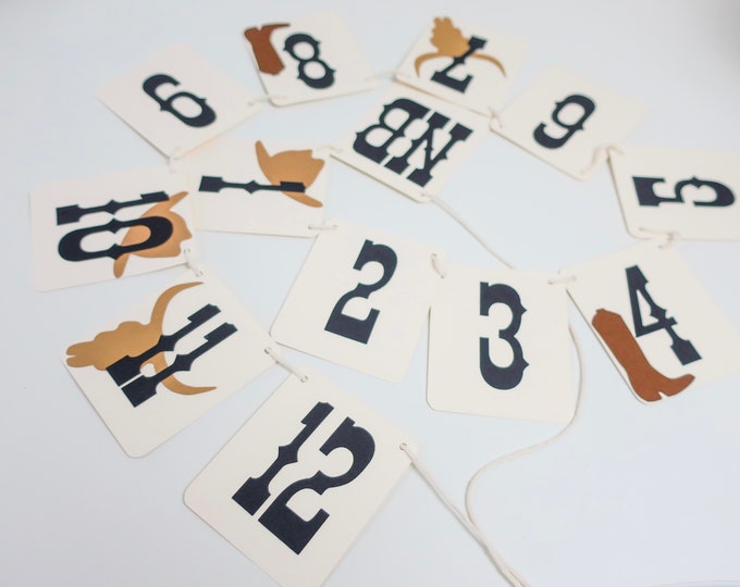 Western Milestone 1st Rodeo Banner 12 Month Birthday Banner Wild West ...