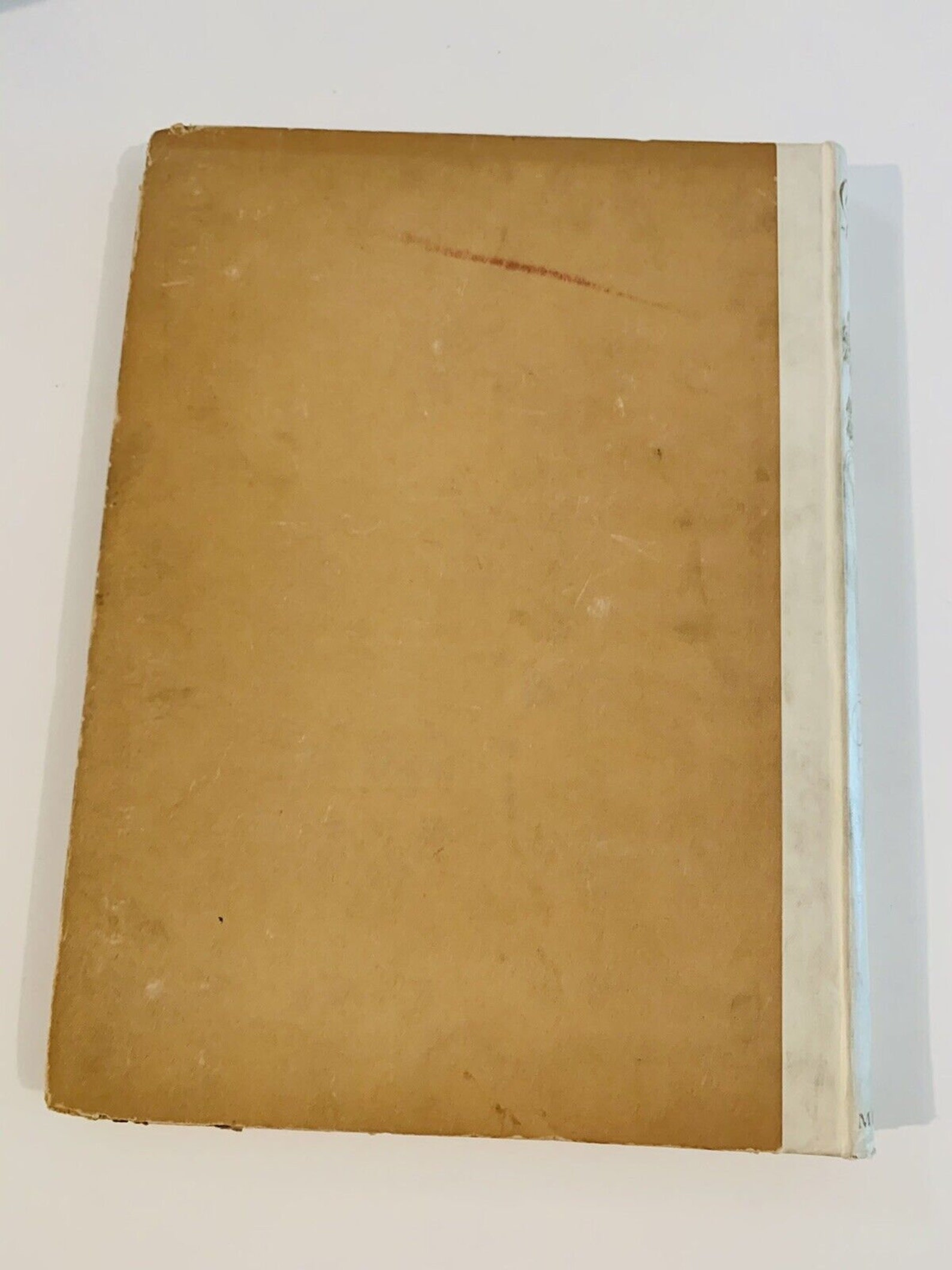 Cinderella HC Book Writer Githa Sowerby Illustrator Millicent Sowerby ...