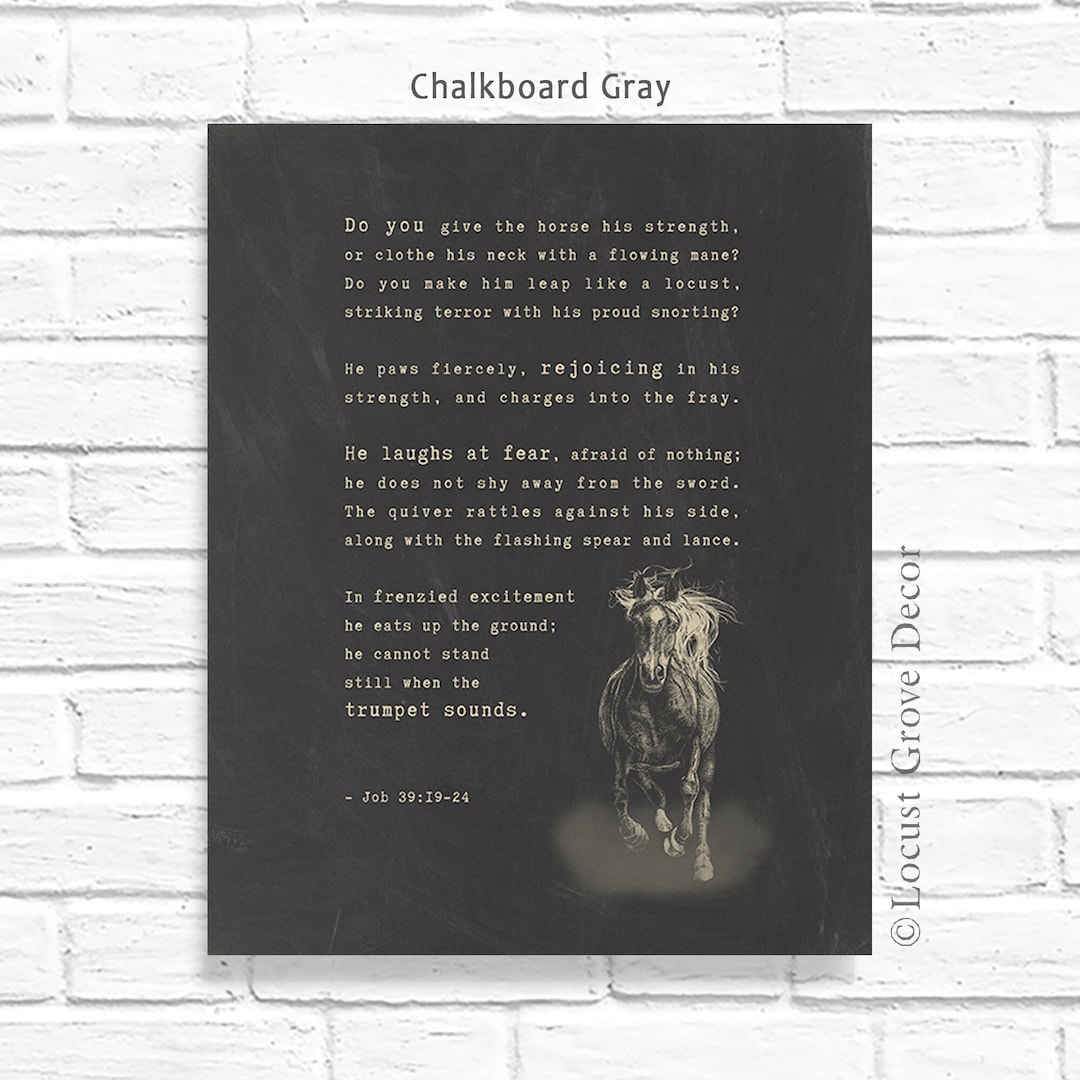 Job 39 Bible Scripture With Horse Drawing Metal Print, Secretariat ...