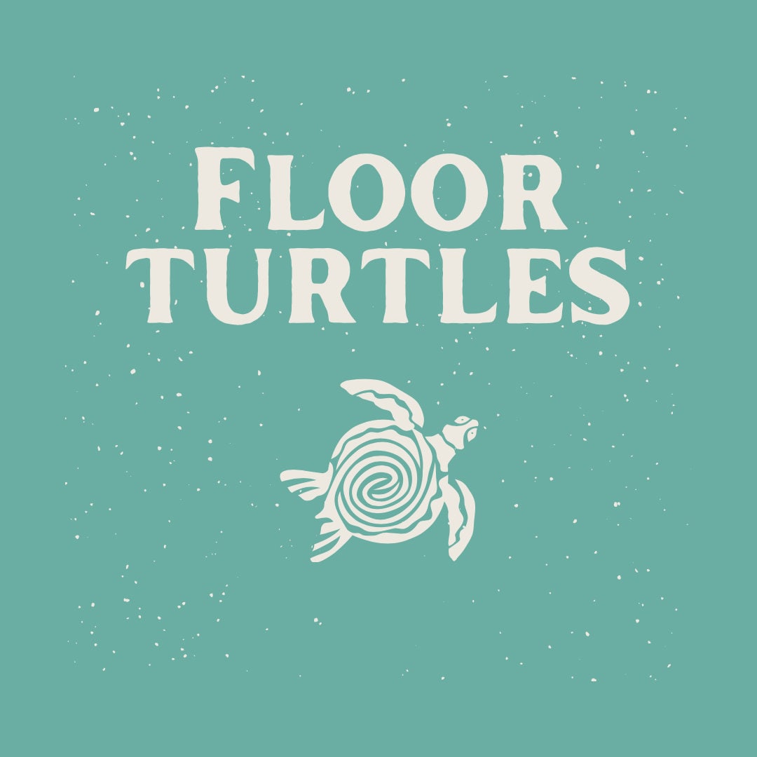 Floor Turtles Various Designs Including: Marvel, Sanrio, Jason, Cats ...