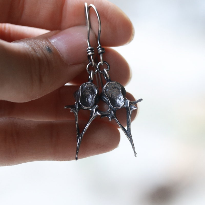 Fish Vertebrae - Etsy