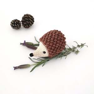 Crochet Hazel the Hedgehog PATTERN, Crochet Hedgehog Amigurumi ...