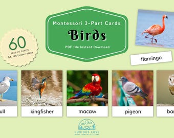 30 Bird 3-part Montessori Cards, Bird Cards for Kids, Bird Cards ...