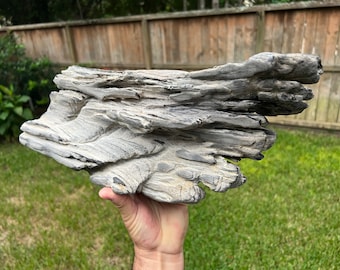 Texas Natural Rotted Petrified Wood Log Agatized Fossil Hard - Etsy