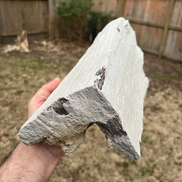 Hollow Log for Aquarium - Etsy