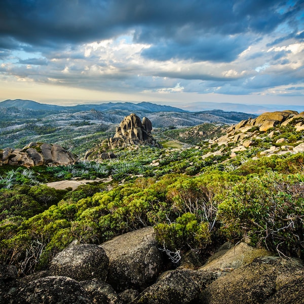 Rustic Decor - Etsy Australia