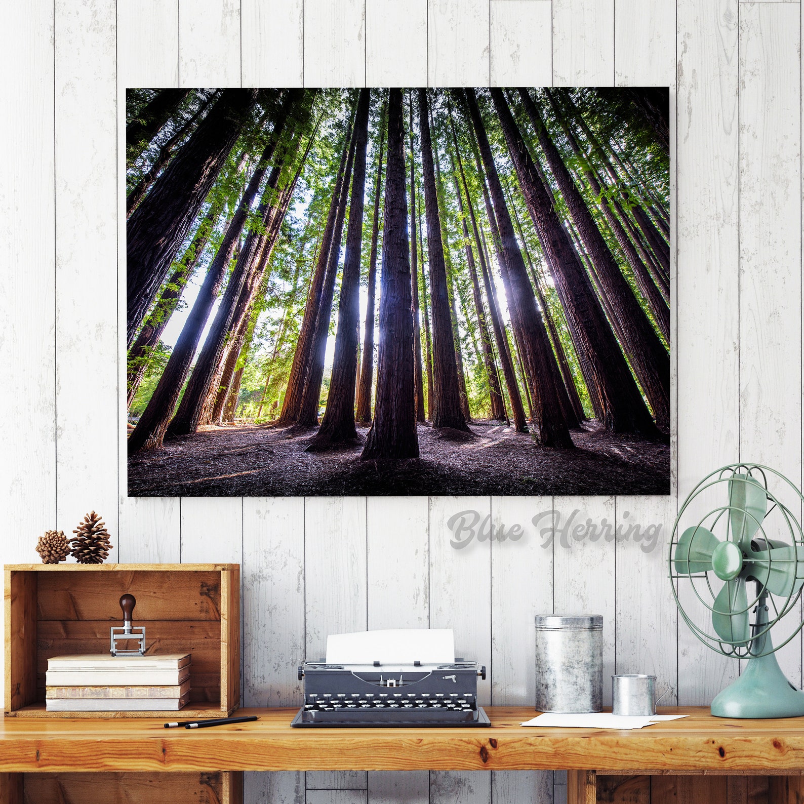 Redwood Forest Mural Redwood Tree Print Nature Photography - Etsy Australia