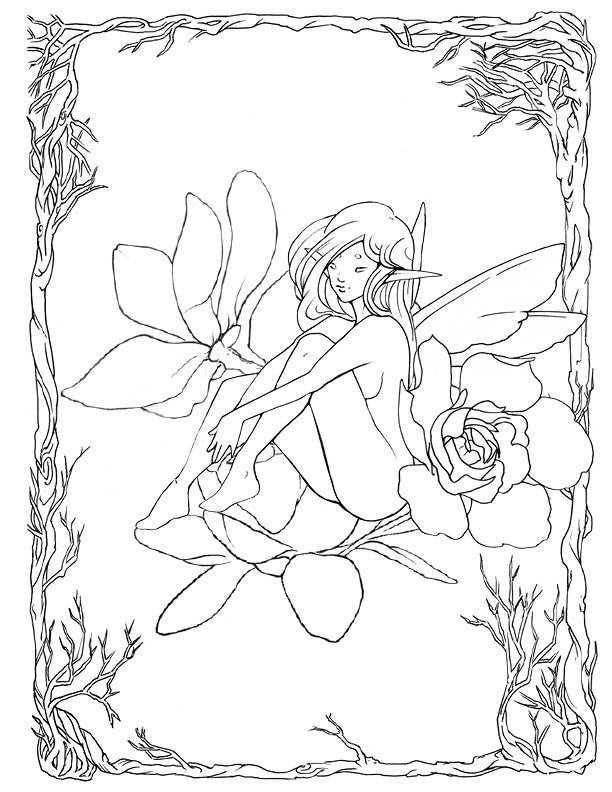 Fairies & Flowers Adult Coloring Book - Etsy