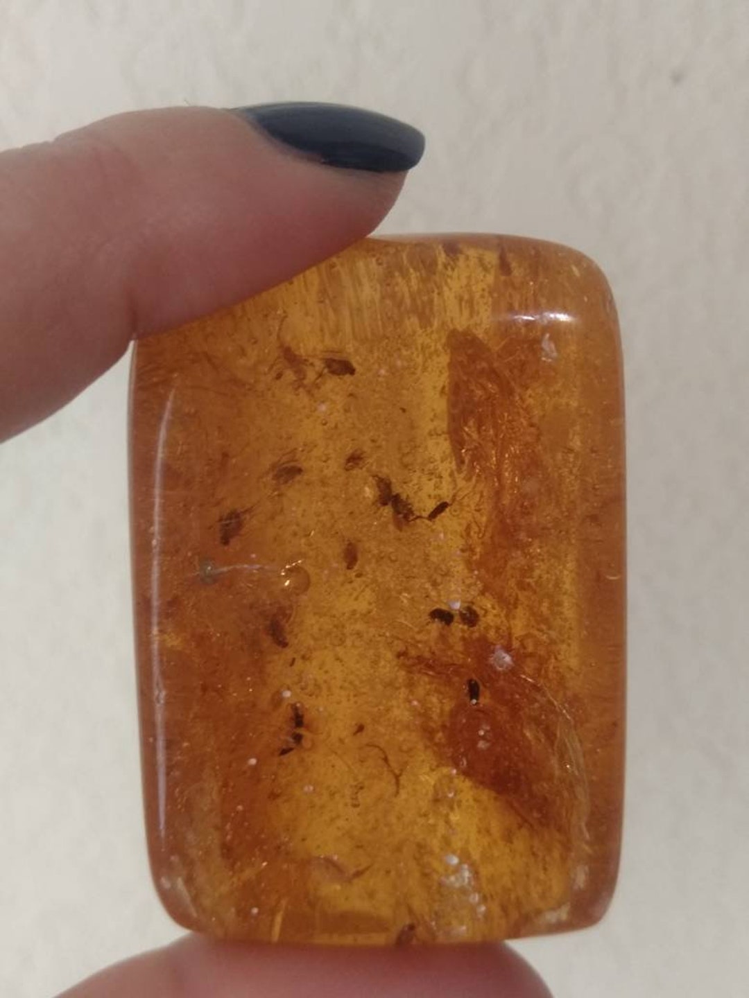 Big Genuine Natural Caribean Copal Stone Fossils With Insects ...