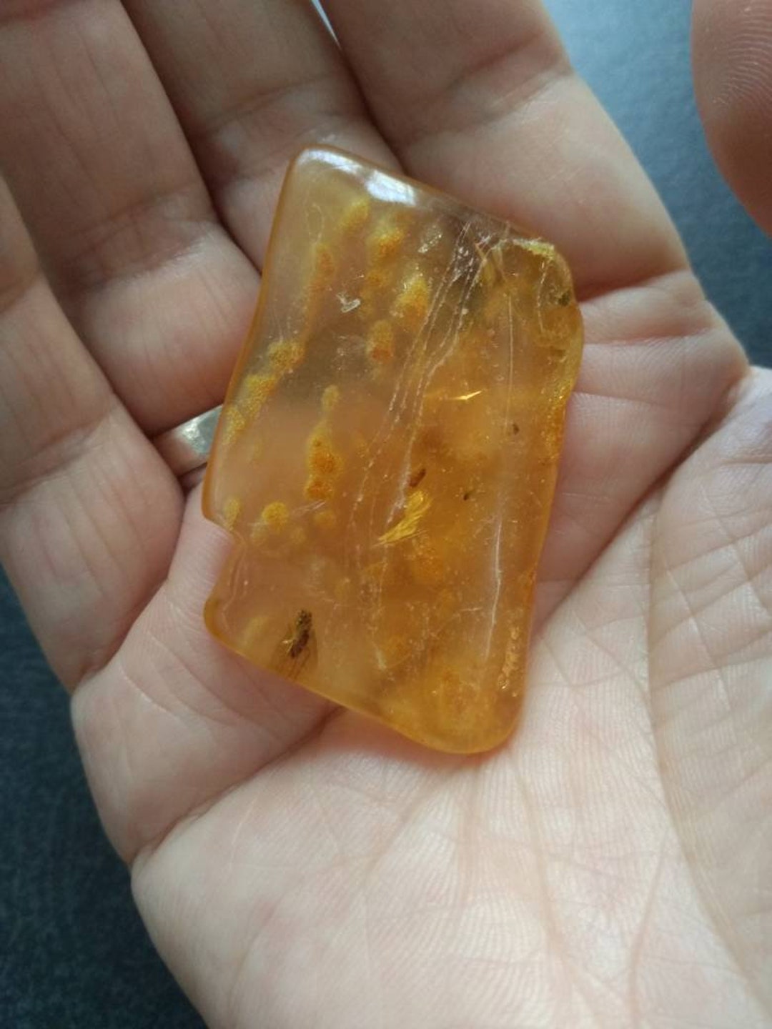 Rare Genuine Natural Caribbean Amber Stone Fossils With Some Insects ...