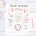 The Day I Was Born Poster, New Baby Poster, Birth Details Print, Baby ...
