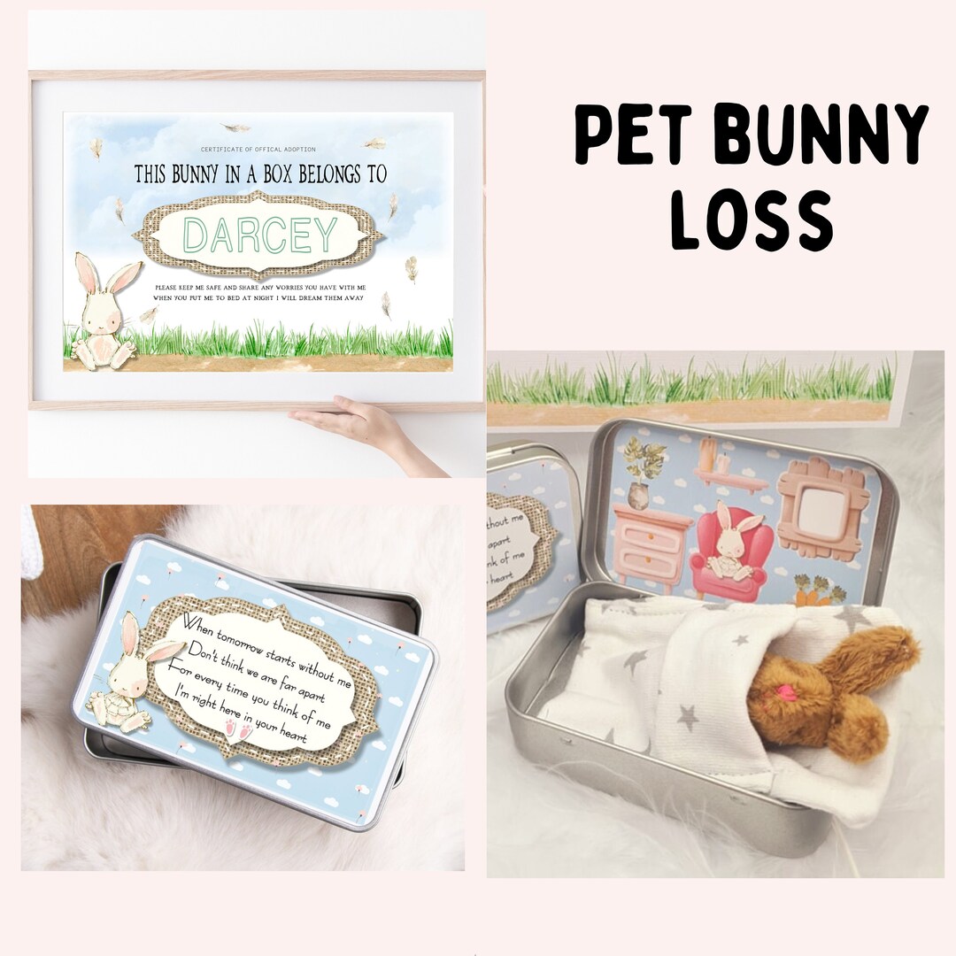 Bunny Rabbit Loss Pocket Bunny Gift, Rabbit Memorial Gift, Sympathy ...