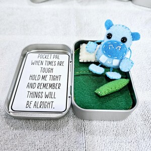 Pocket Pal, Pocket Pets, Tiny Tin Pals, Felt Animals, Pocket Pets in ...