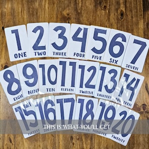 Bluey Number Flashcards, Blue Heeler, Flashcards, Learning Flashcards ...