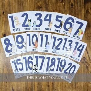 Bluey Number Flashcards, Blue Heeler, Flashcards, Learning Flashcards ...