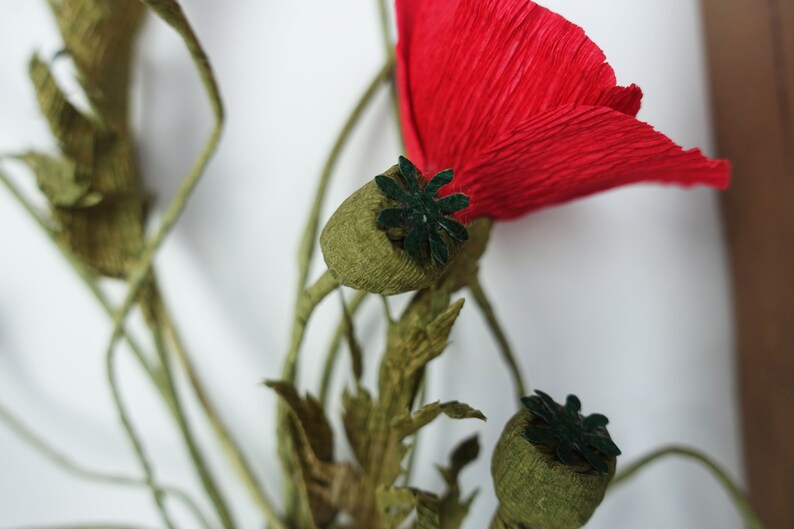 Poppy Wall Art, Poppy Flower Art, Framed Botanical Art, Flower Decor ...