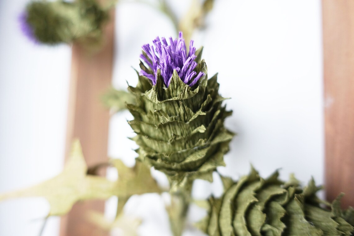 Thistle Wall Art Framed Botanical Art Floral Decor 3D Wall - Etsy