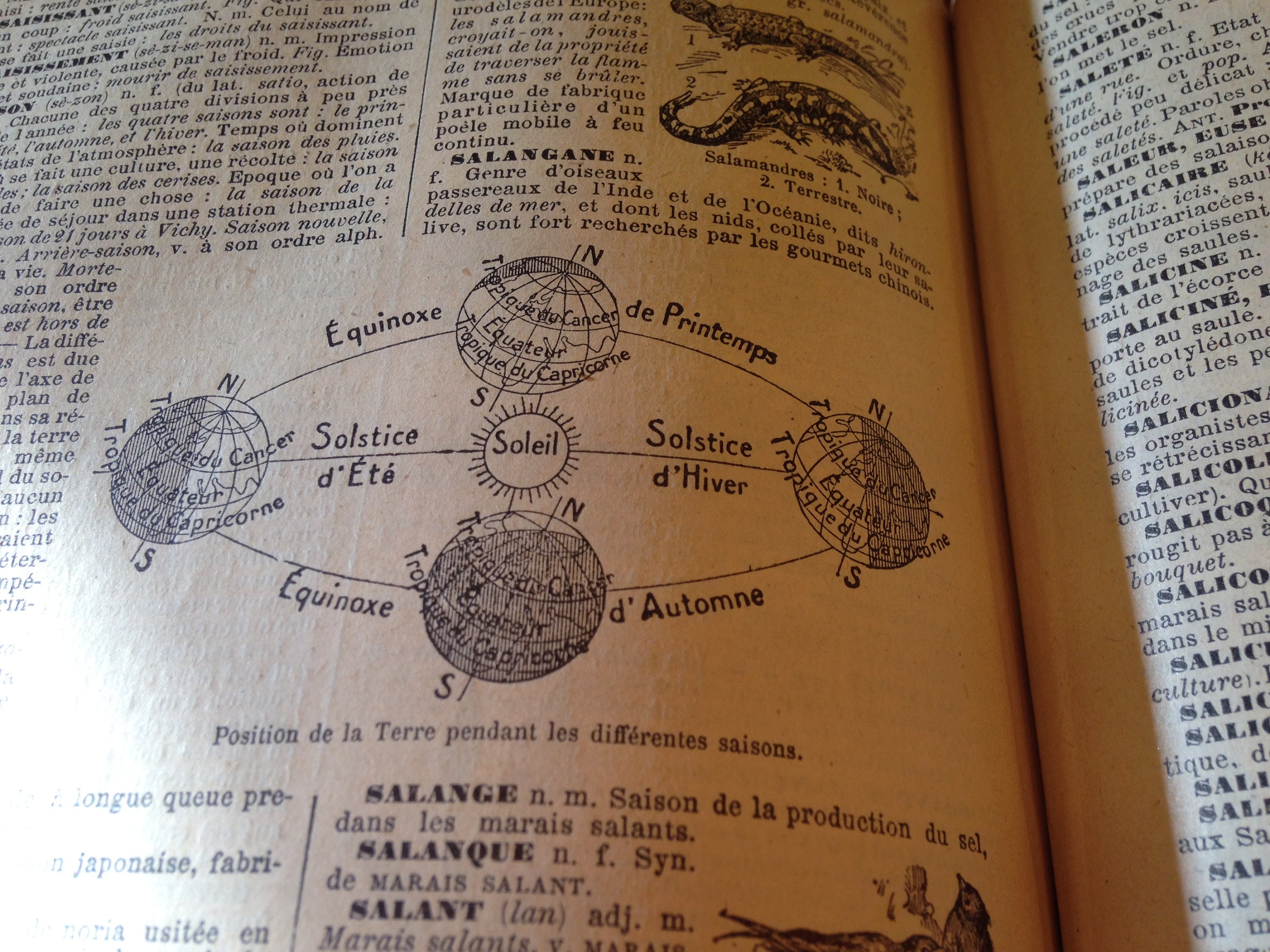 Larousse Illustre, French Illustrated Dictionary, Libraire Larousse ...