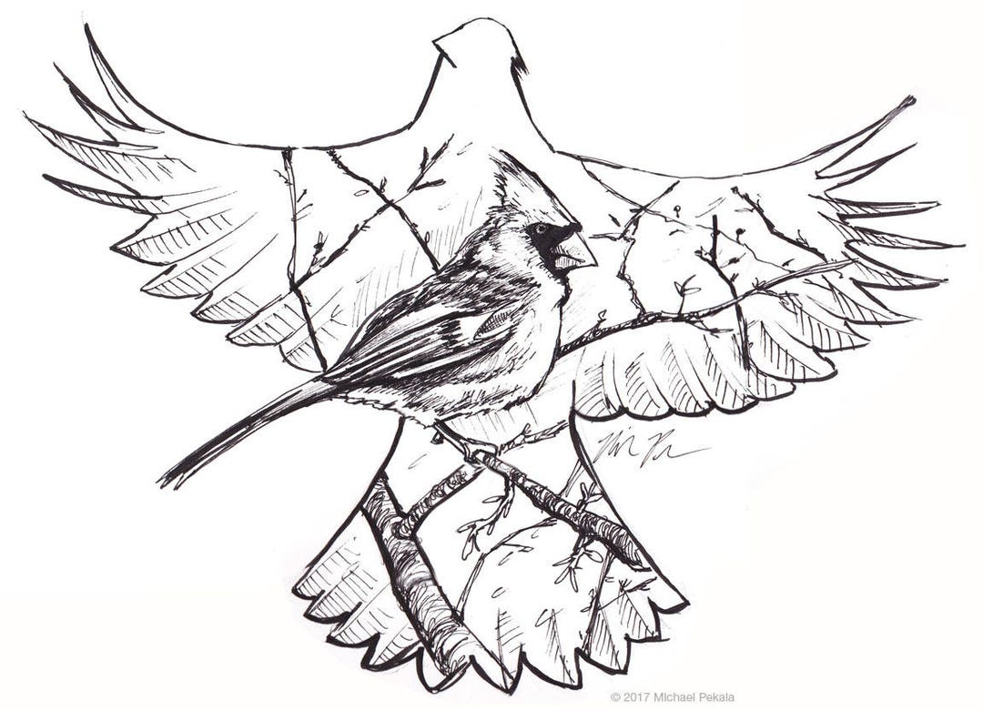 The Cardinal, Pen and Ink Drawing, 8x10 Print, Archival - Etsy