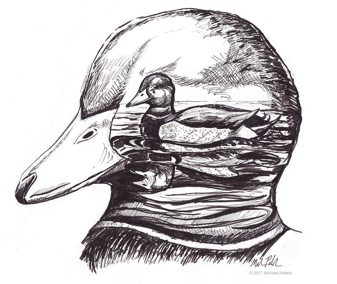 The Duck, Pen and Ink Drawing, Illustration, 8x10 Print, Archival ...