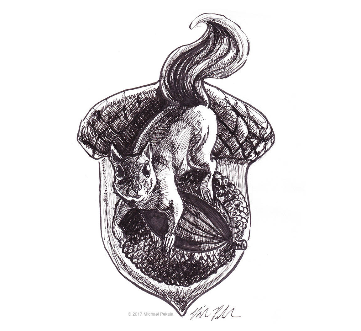 The Squirrel, Acorn, Pen and Ink Drawing, Illustration, 8x10 Print ...