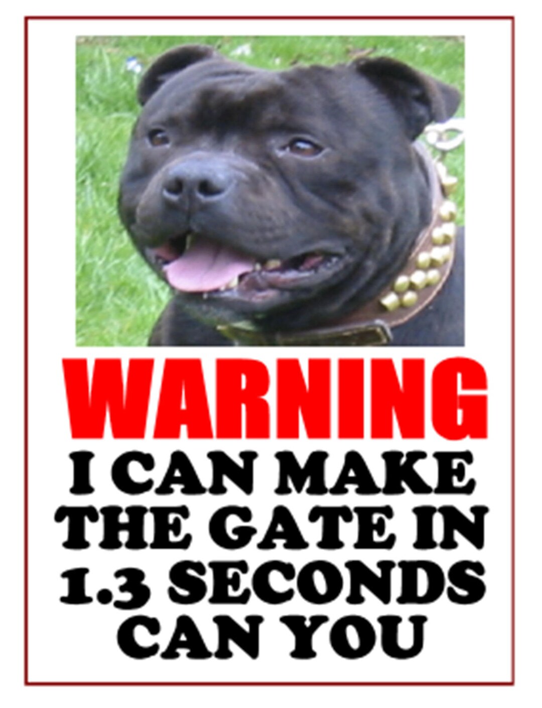 Sign Staffordshire Bull Terrier - Staffy Warning Sign I Can Make the ...