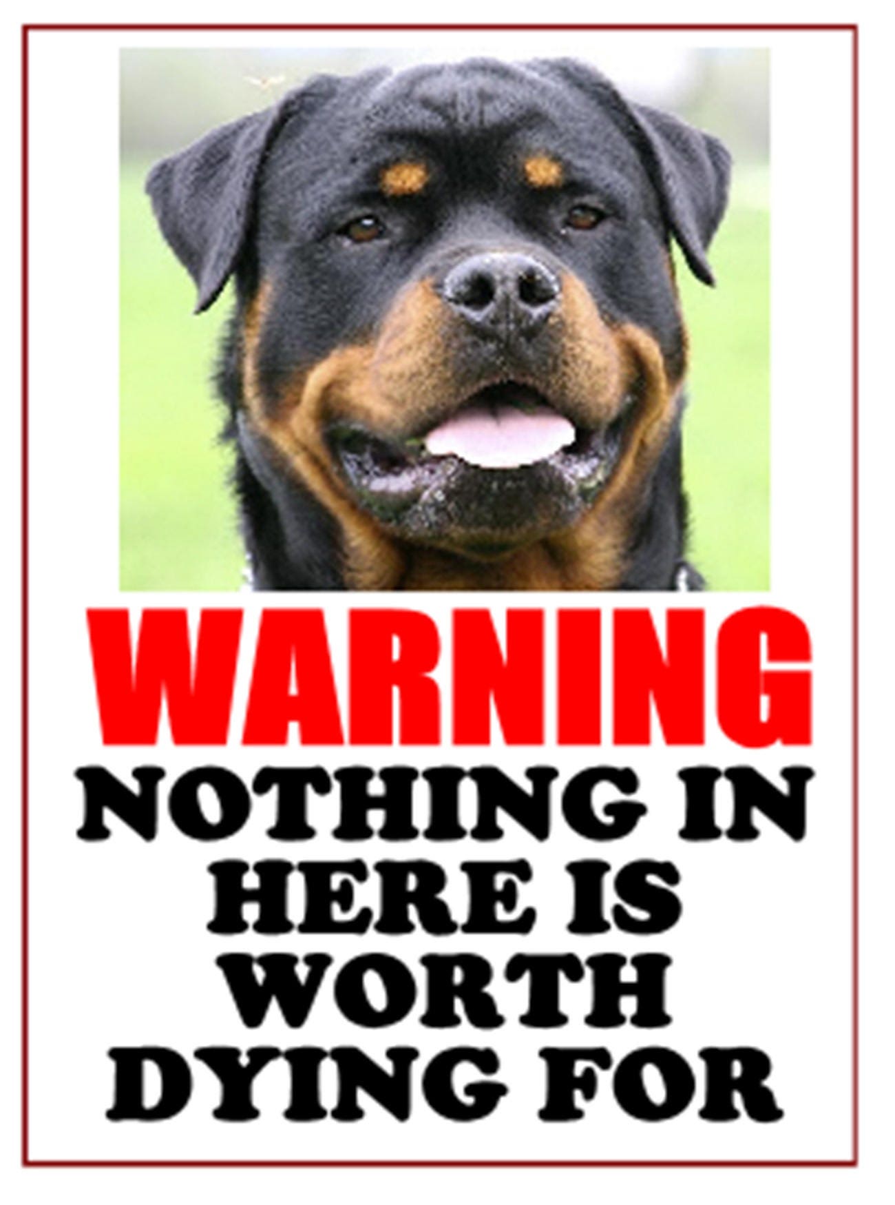 Rottweiler Warning sign Nothing in here is worth Dying for - Etsy.de