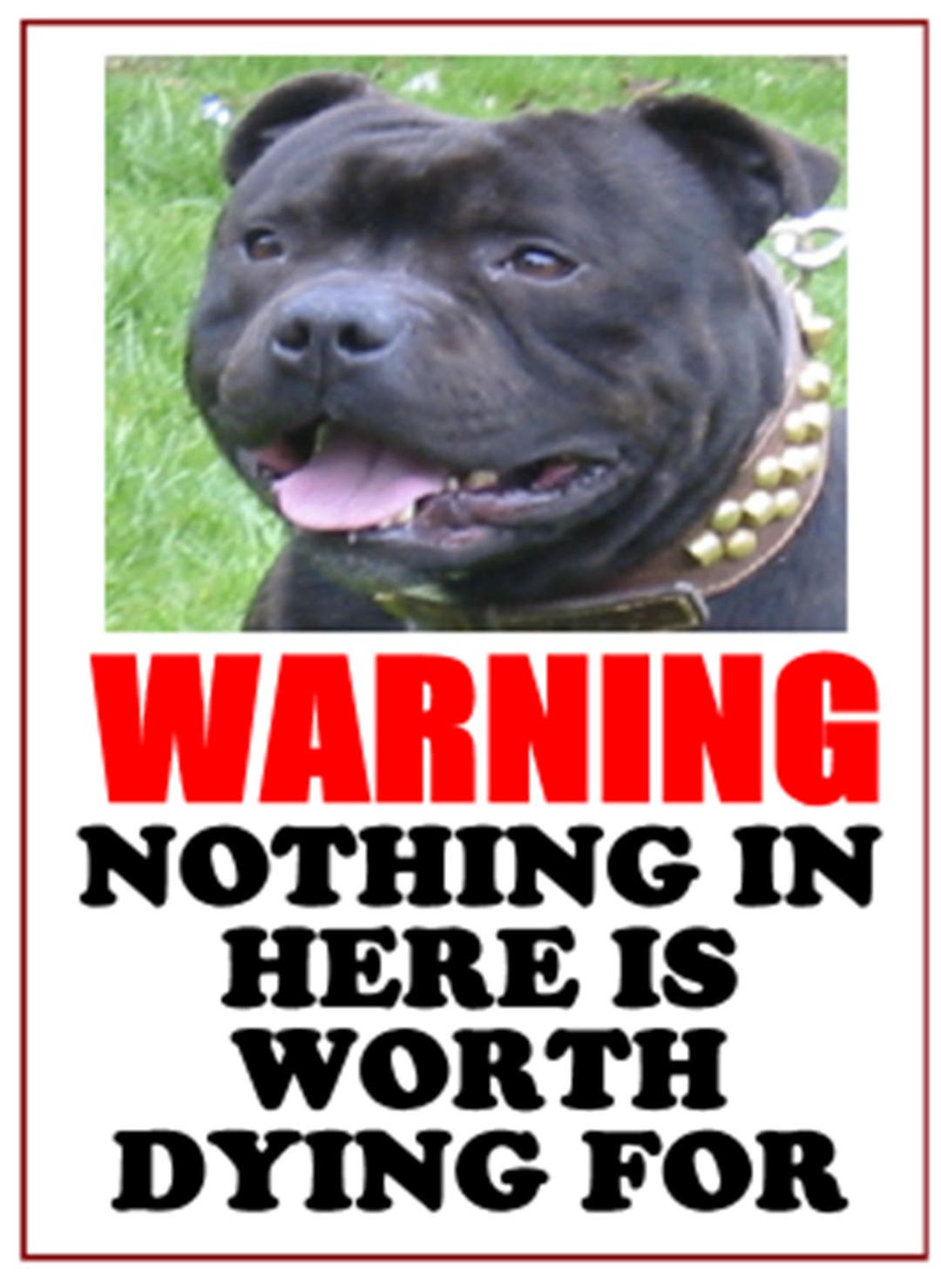 Sign Staffordshire Bull Terrier - Staffy Warning Sign Nothing in Here ...