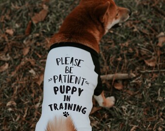 Dogs in Training Please Be Patient - Etsy