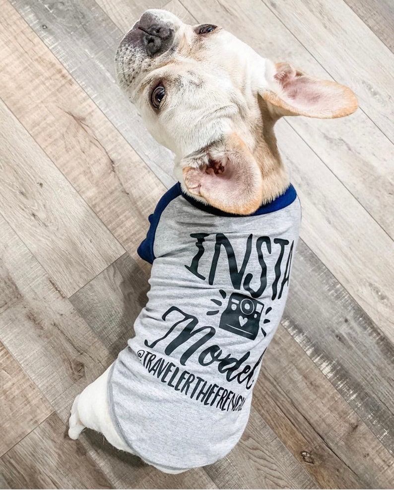Custom Insta Model Instagram Handle Shirt 10 Sizes Dog | Etsy