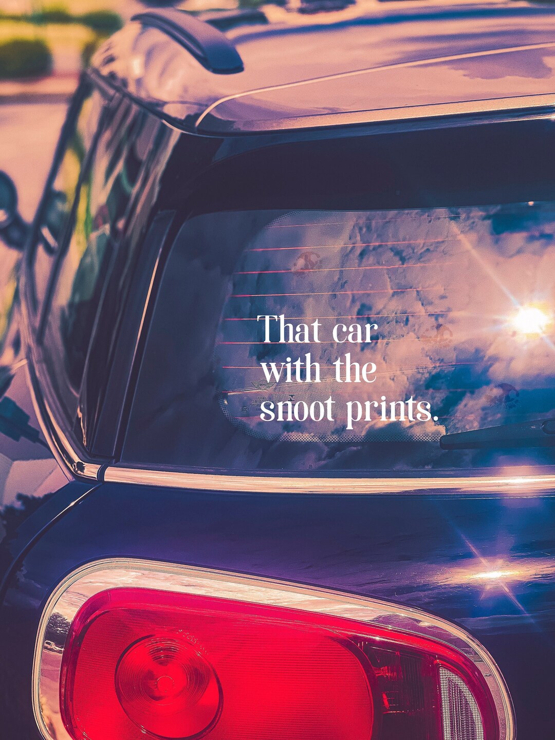 That Car With the Snoot Prints Car Decal Dog Lover Car Vinyl ...