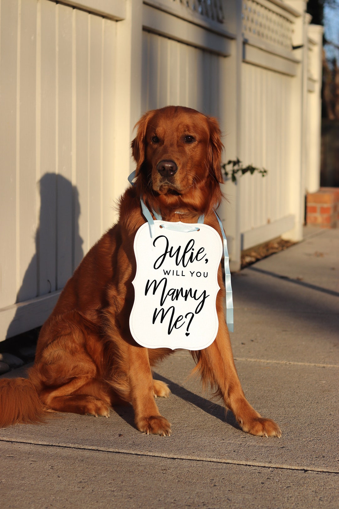 Personalized Dog Proposal Sign: Engagement Photo Prop - Etsy