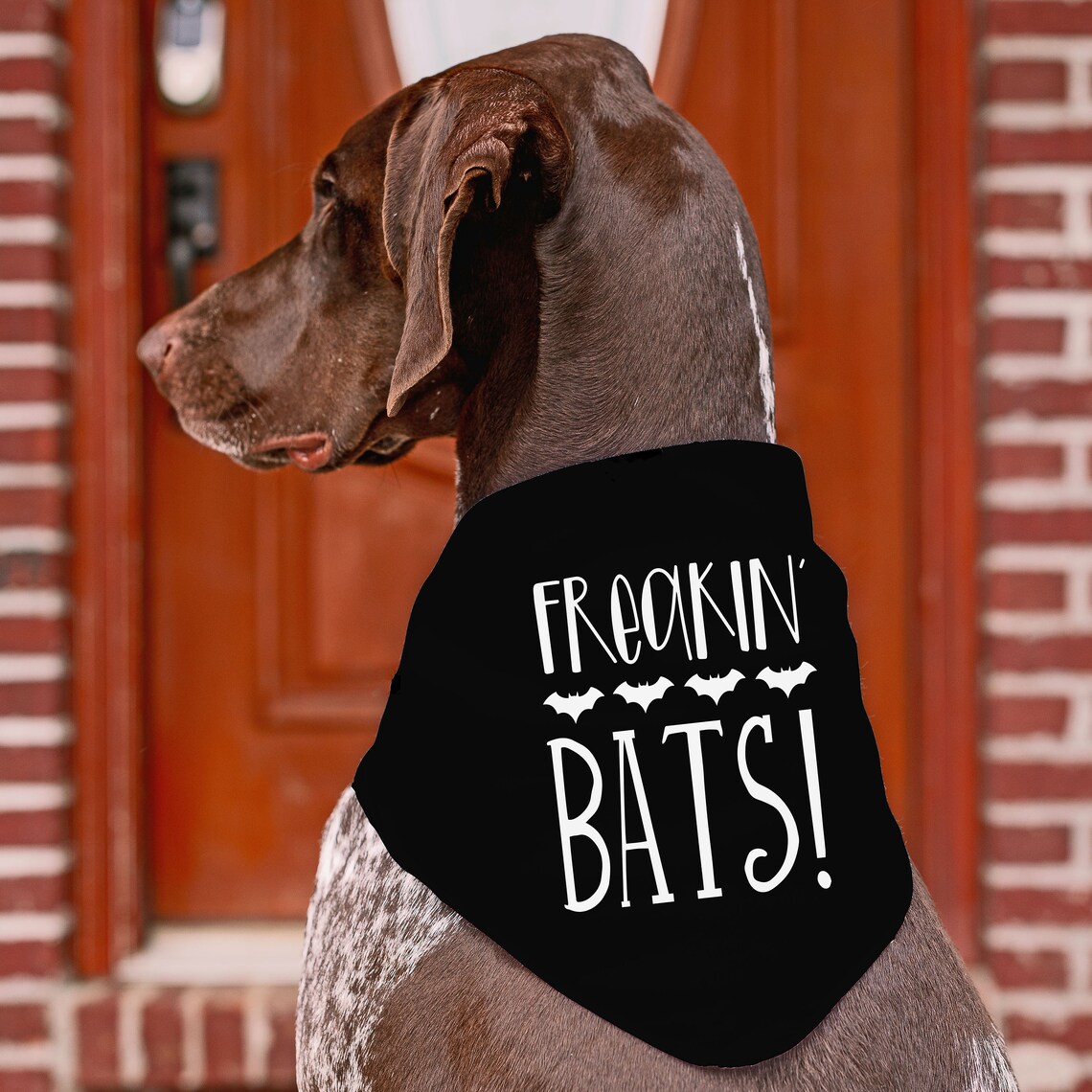 Freakin Bats! Frickin' Bats Halloween Themed Bandana | Halloween Party ...