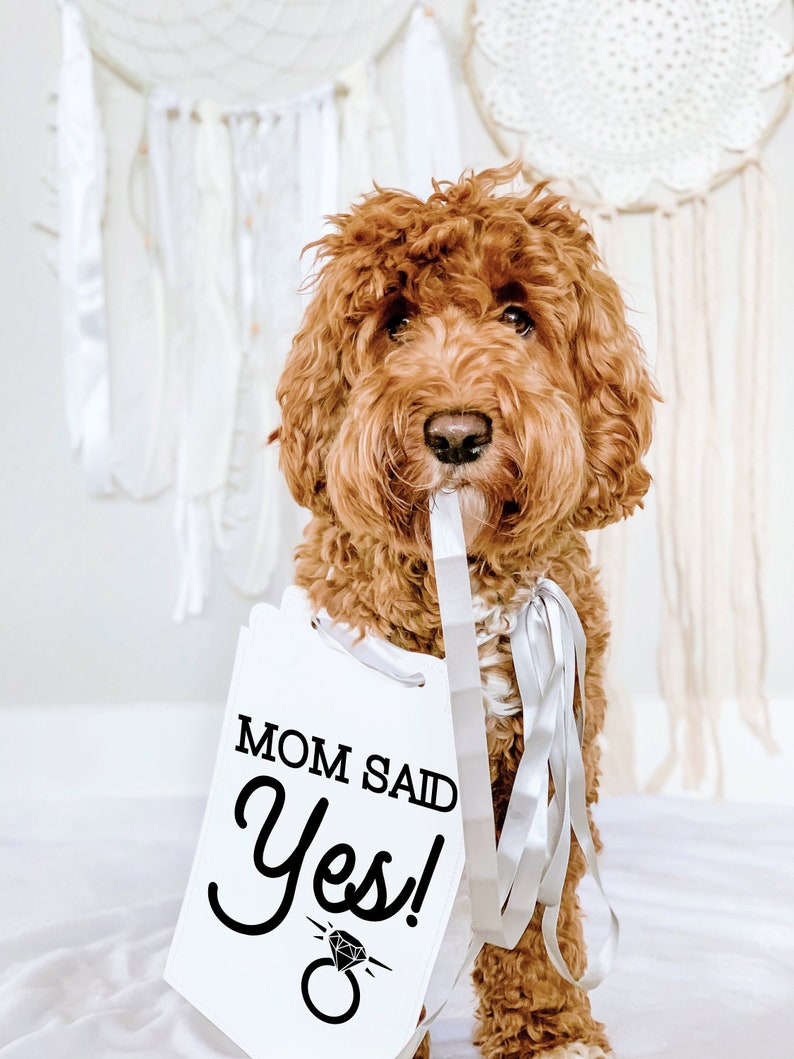 Mom Said Yes! Dog Engagement Announcement Sign: Photo Prop - Etsy