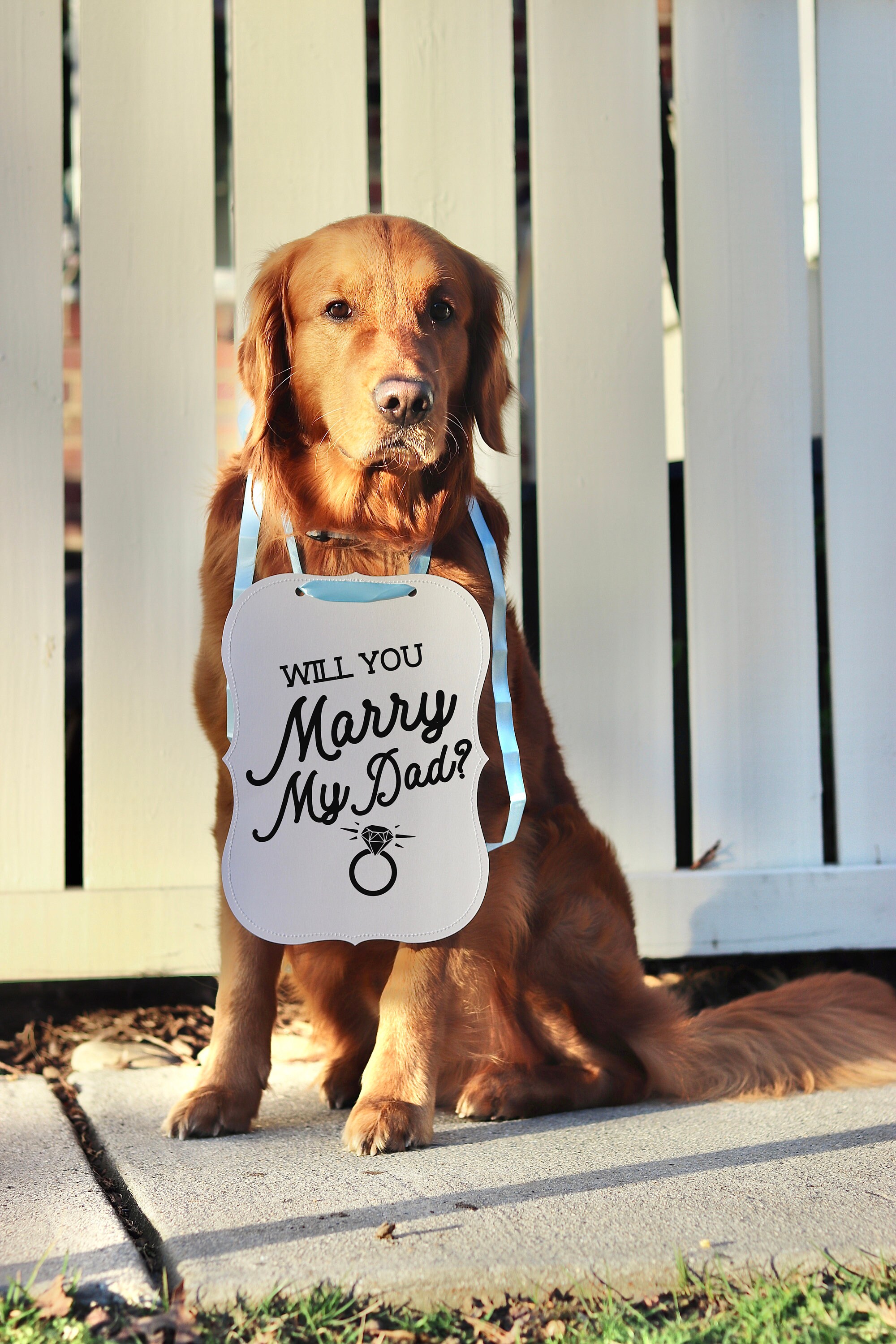 Will You Marry My Dad Proposal Engagement Sign Photo Shoot | Etsy