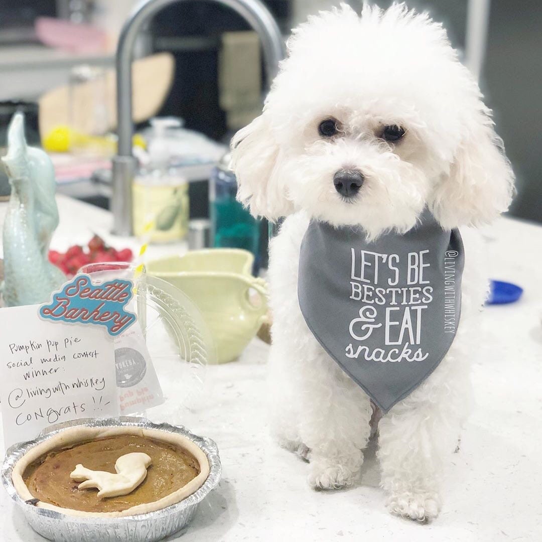 Let's Be Besties & Eat Snacks Best Friends Bffs Bandana - Etsy