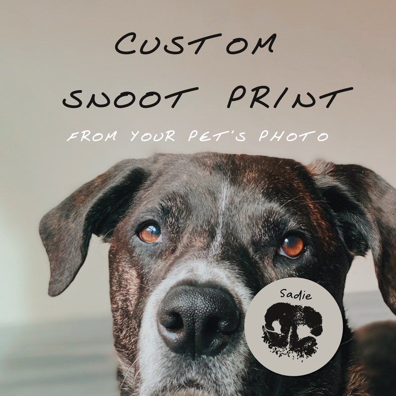 BarkleyandWagz - Etsy