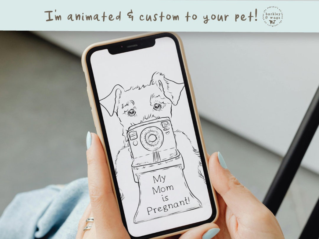 Custom Animated Pregnancy Announcement for Reels Social Media Emails ...