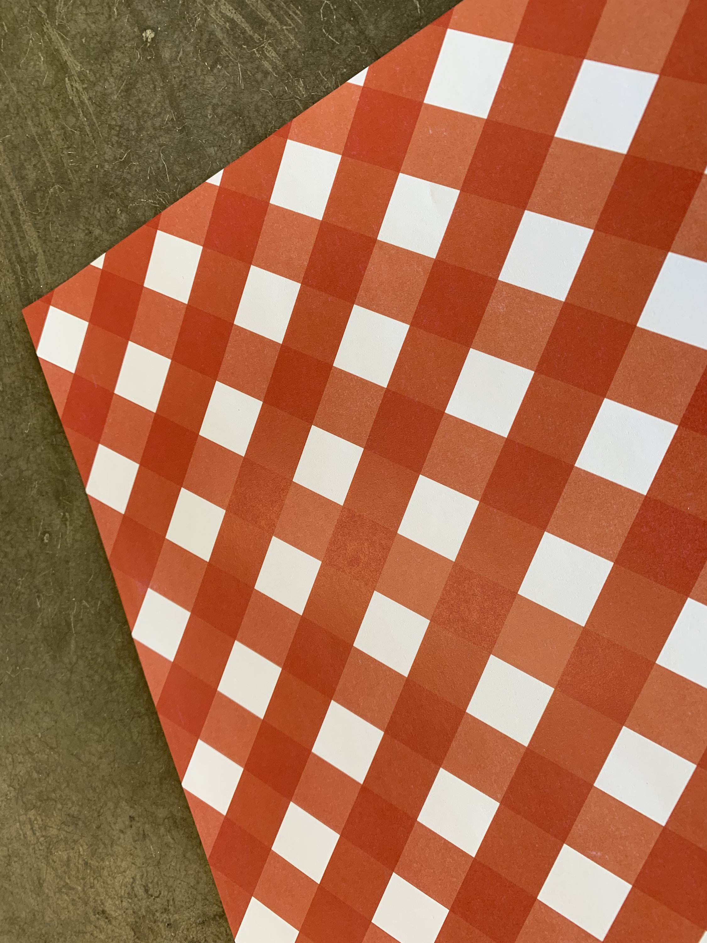 Backyard BBQ Paper Placemats, Checkered Placemats, Red Checked Paper ...
