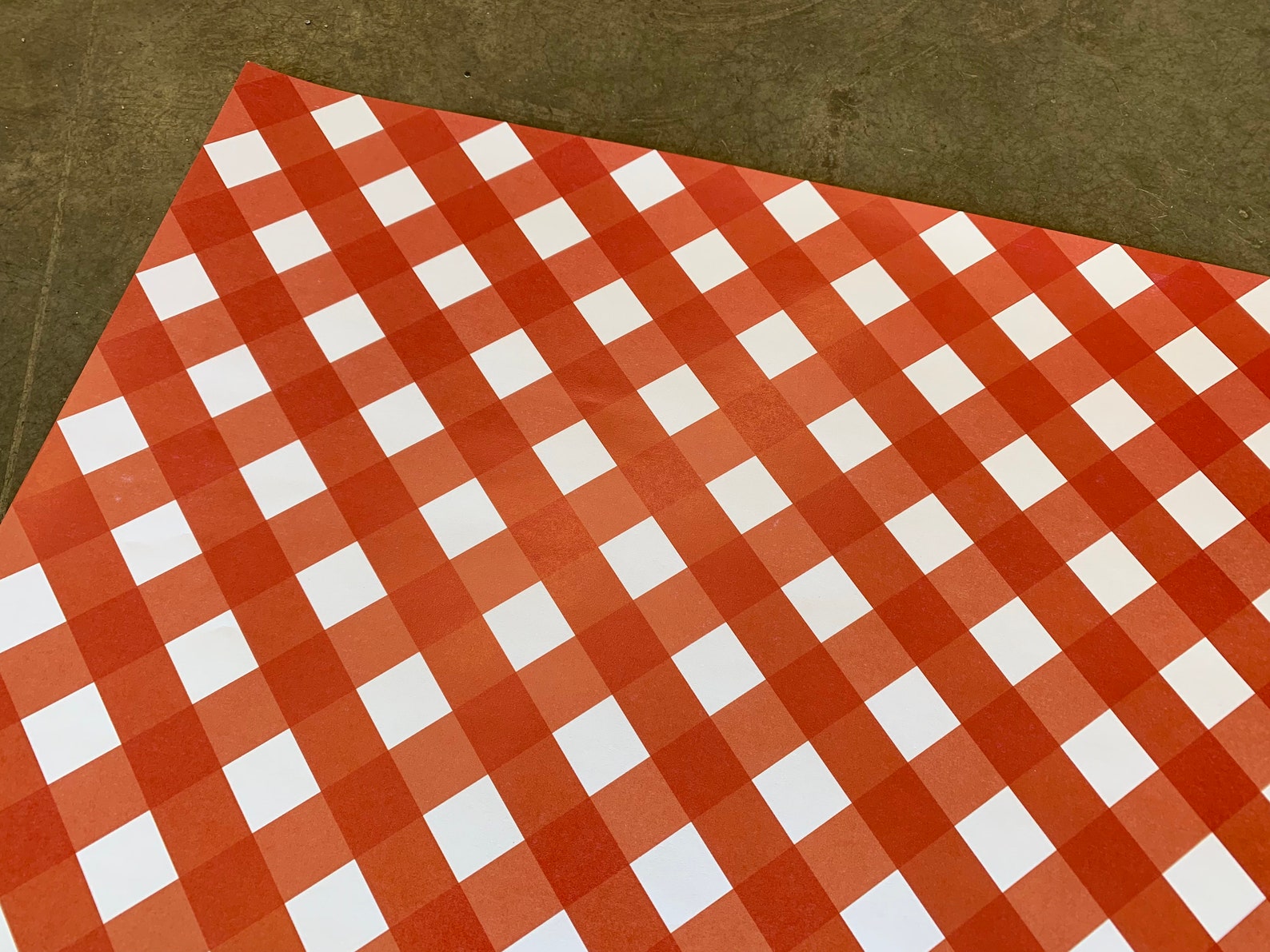 Backyard BBQ Paper Placemats, Checkered Placemats, Red Checked Paper ...