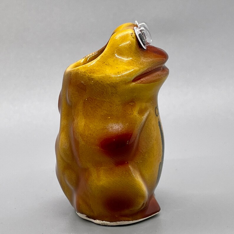 Googly Eyed Frog Toothpick Holder Chicago Souvenir Novelty - Etsy