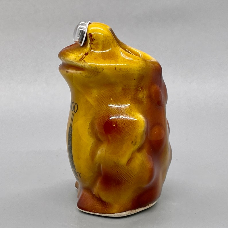 Googly Eyed Frog Toothpick Holder Chicago Souvenir Novelty - Etsy
