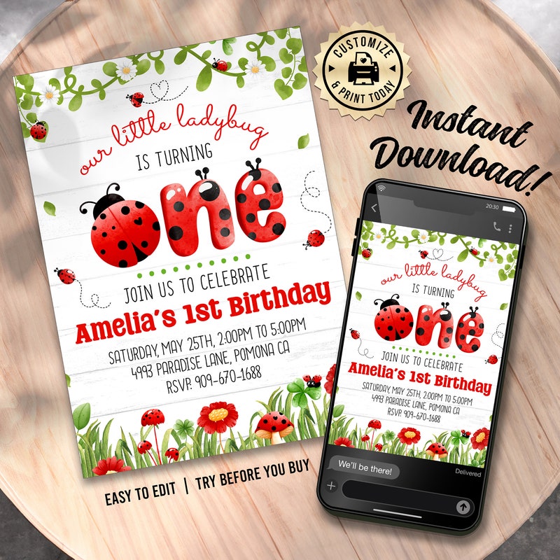 Ladybug 1st Birthday - Etsy